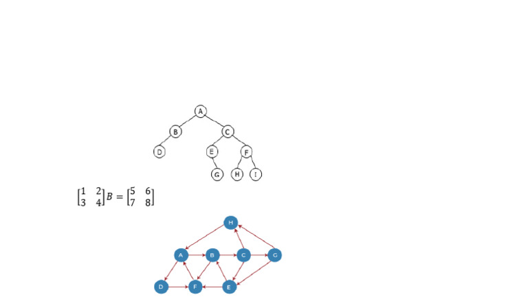 Sorting and Graph Algorithms Assignment | PDF