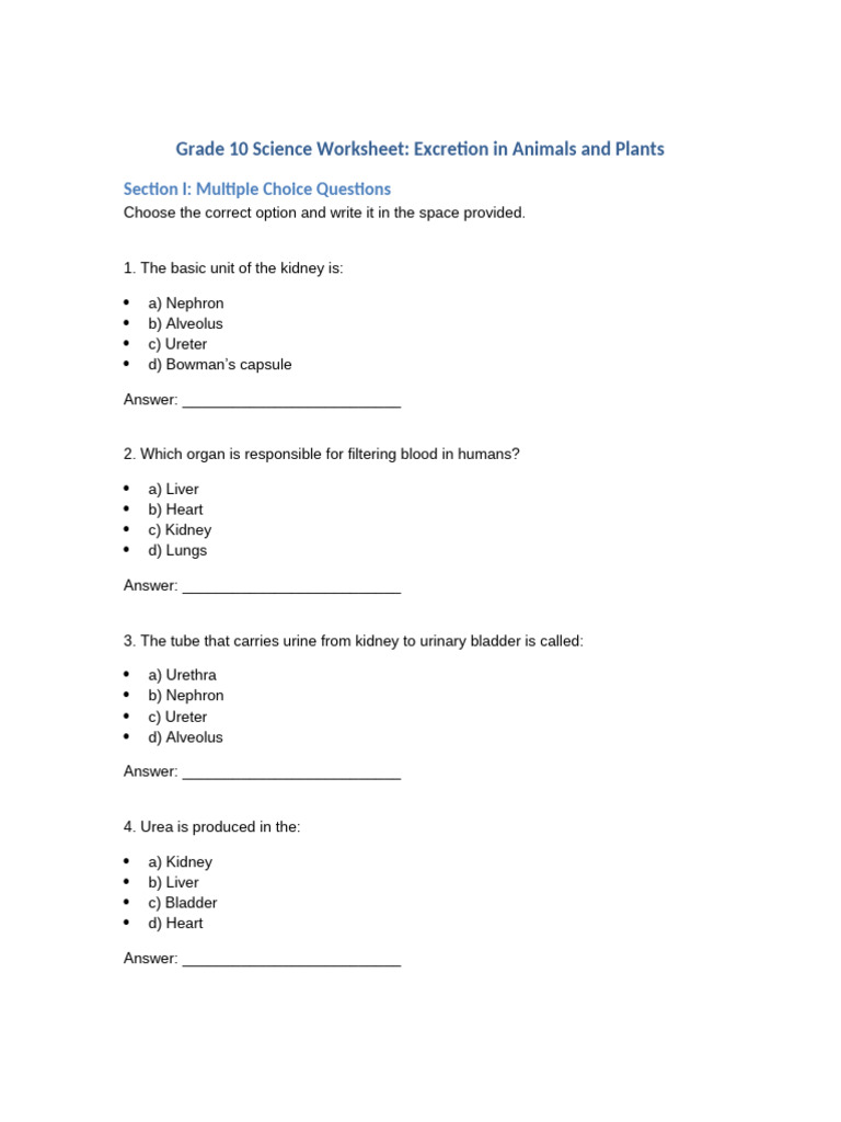 Excretion Worksheet With Answer Space | PDF | Kidney | Urinary System