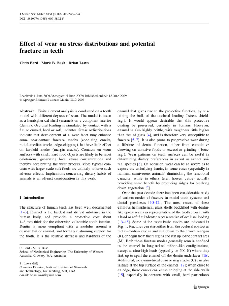 Effect of Wear On Stress Distributions and Potential | PDF | Fracture ...
