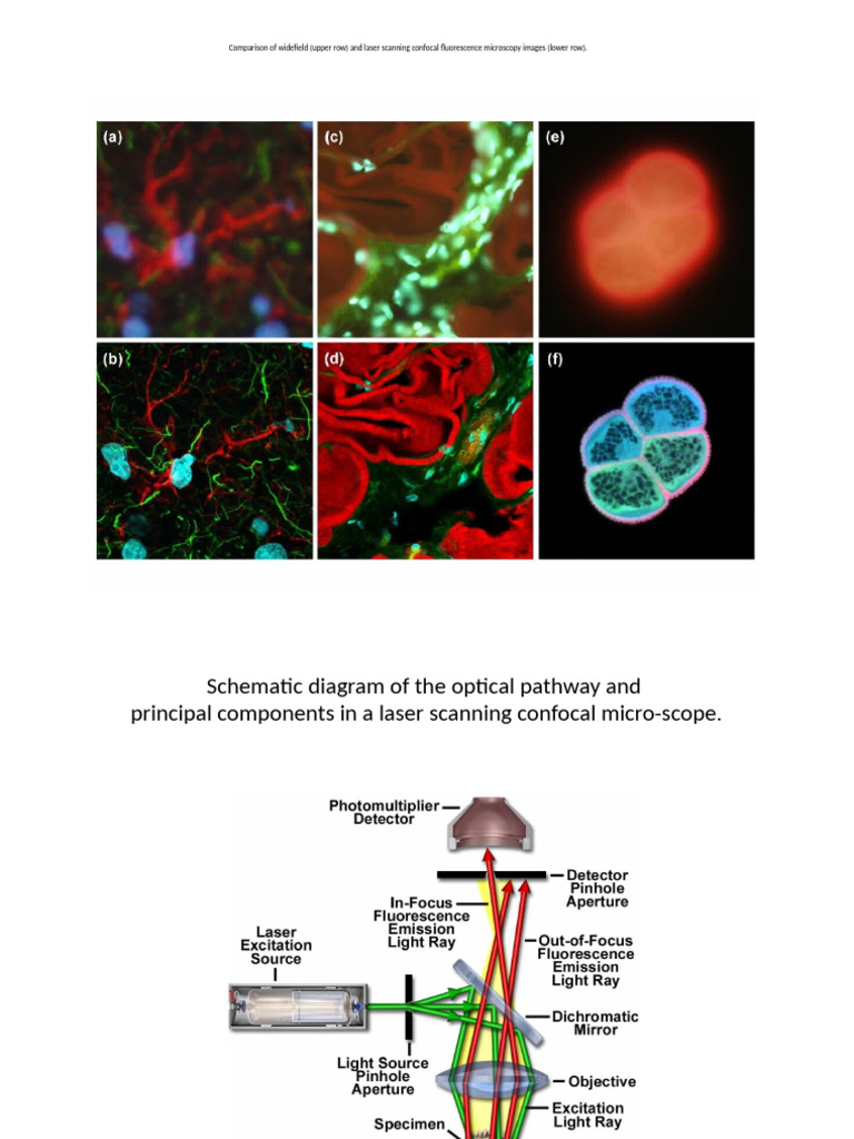 Confocal 2 | PDF