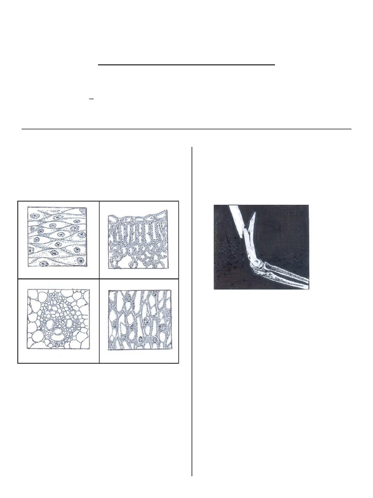 Bio Unif Toets 2009 | PDF