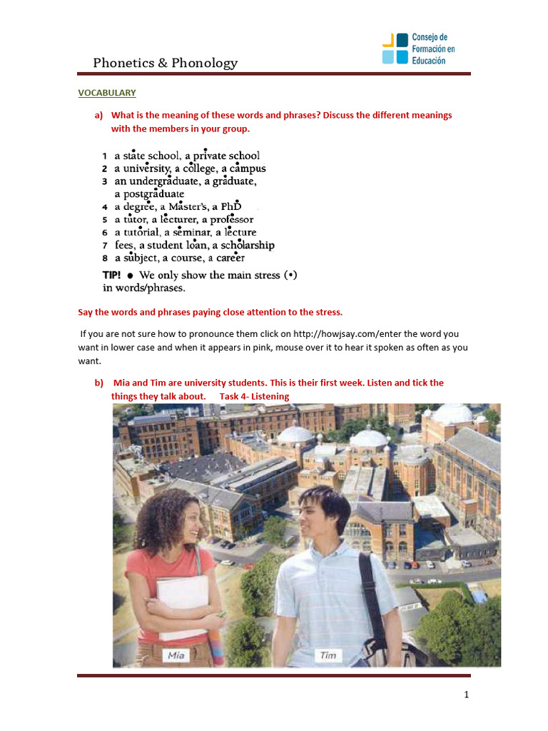 Accuracy - Fluency - Communication 1 | PDF