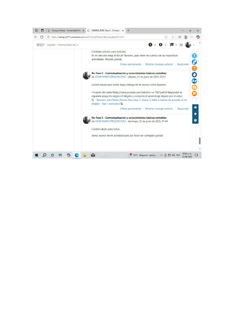 Pantallazo Avances Fase 2 | PDF