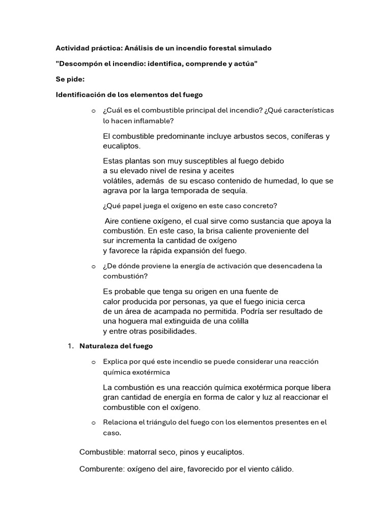 Actividad Práctica | PDF | Incendios | Combustión