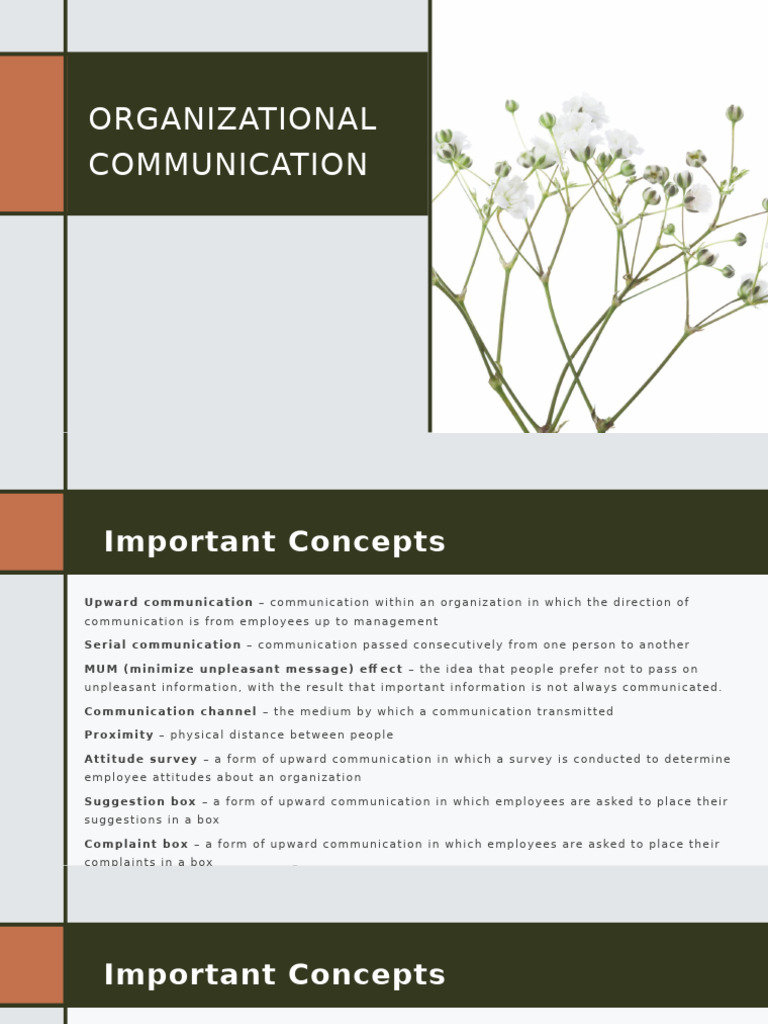 Organizational Communication | PDF | Human Communication | Social Psychology