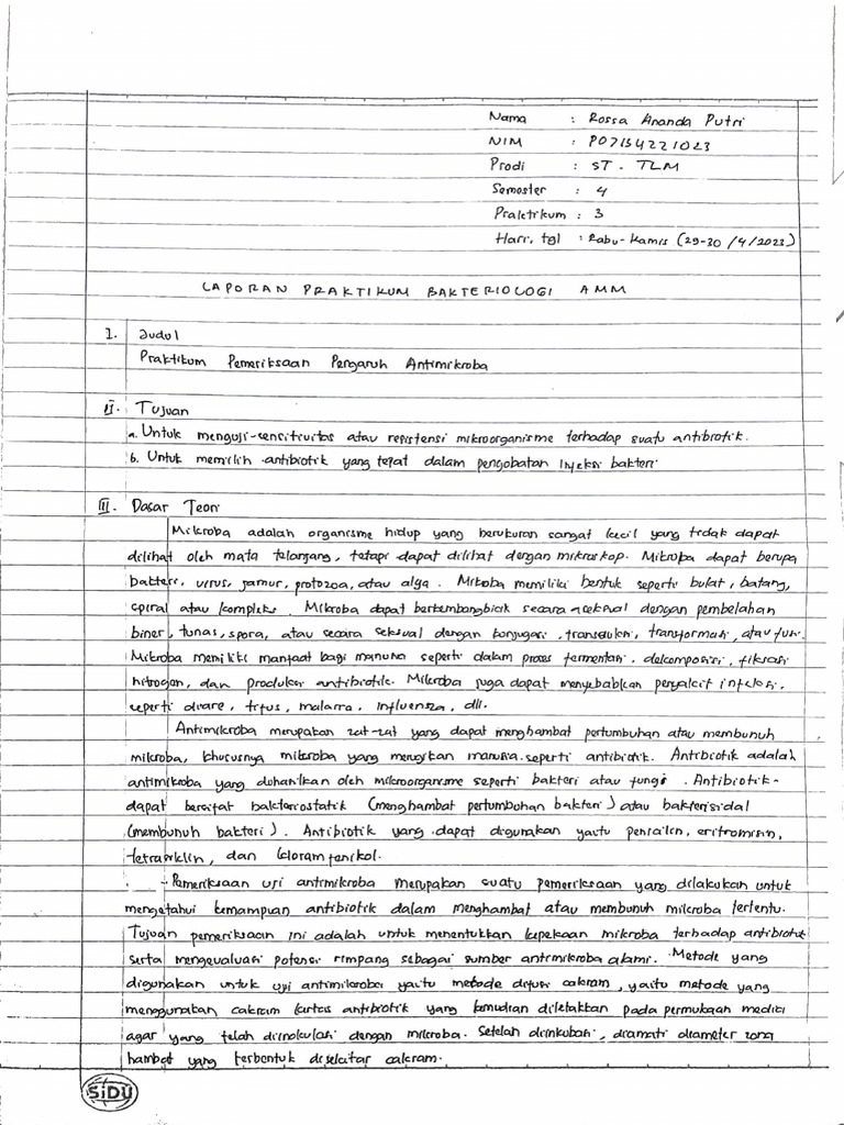 Rossa Ananda Putri - Laprak 3 Bakter | PDF