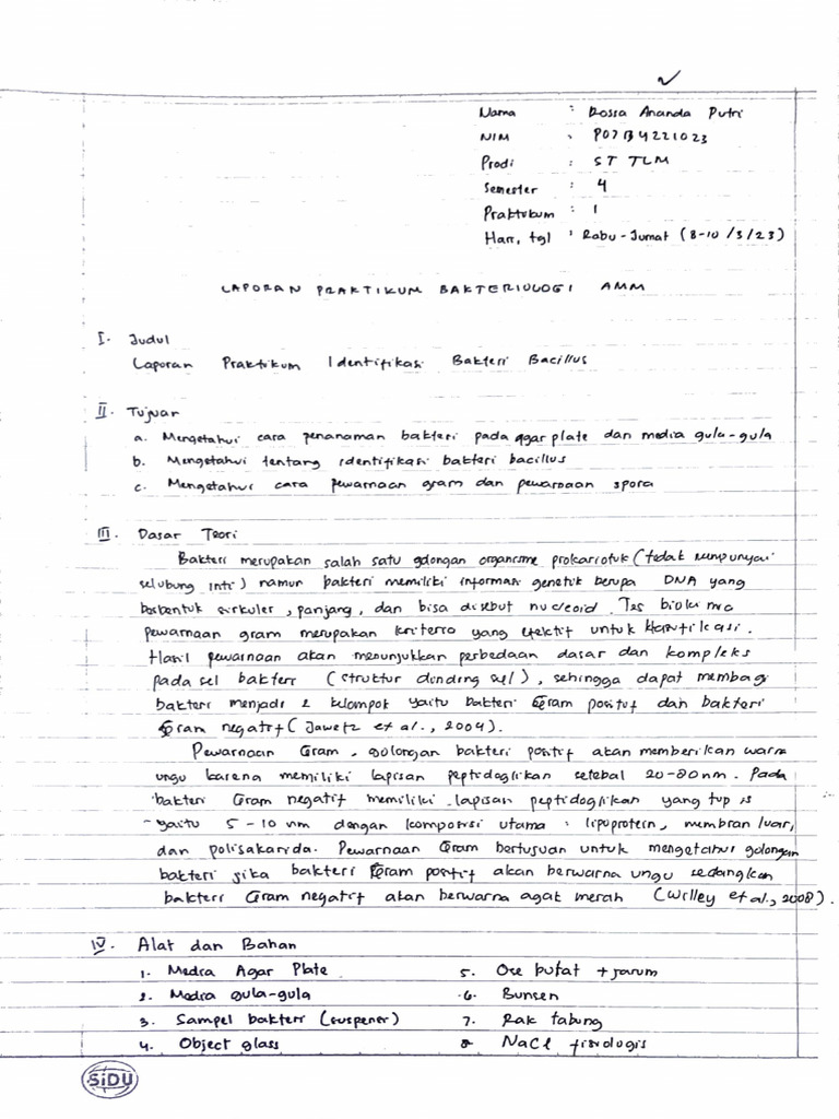 Rossa Ananda Putri - Laprak 1 Bakter | PDF