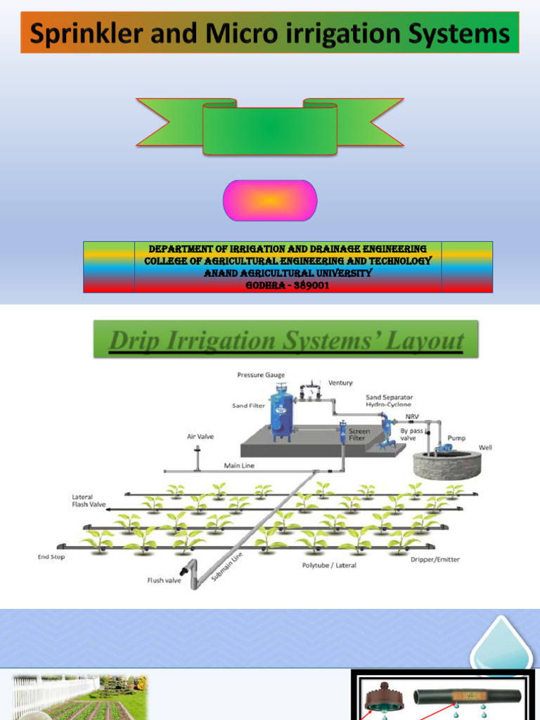 Basics of Drip Irrigation | PDF | Irrigation | Chemical Engineering