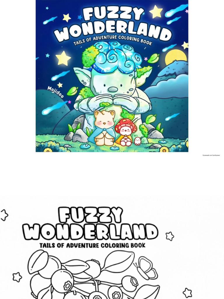 Fuzzy Wonderland | PDF