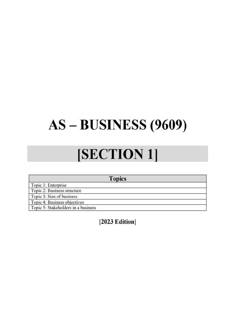 As Business Notes | PDF