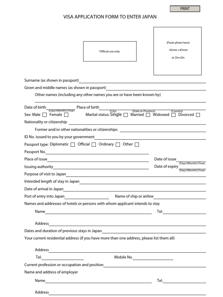 Visa Application Form 2012 | Travel Visa | Passport