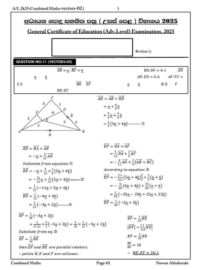 Marking Shceme of Vectors-02 (2025-Theory) | PDF