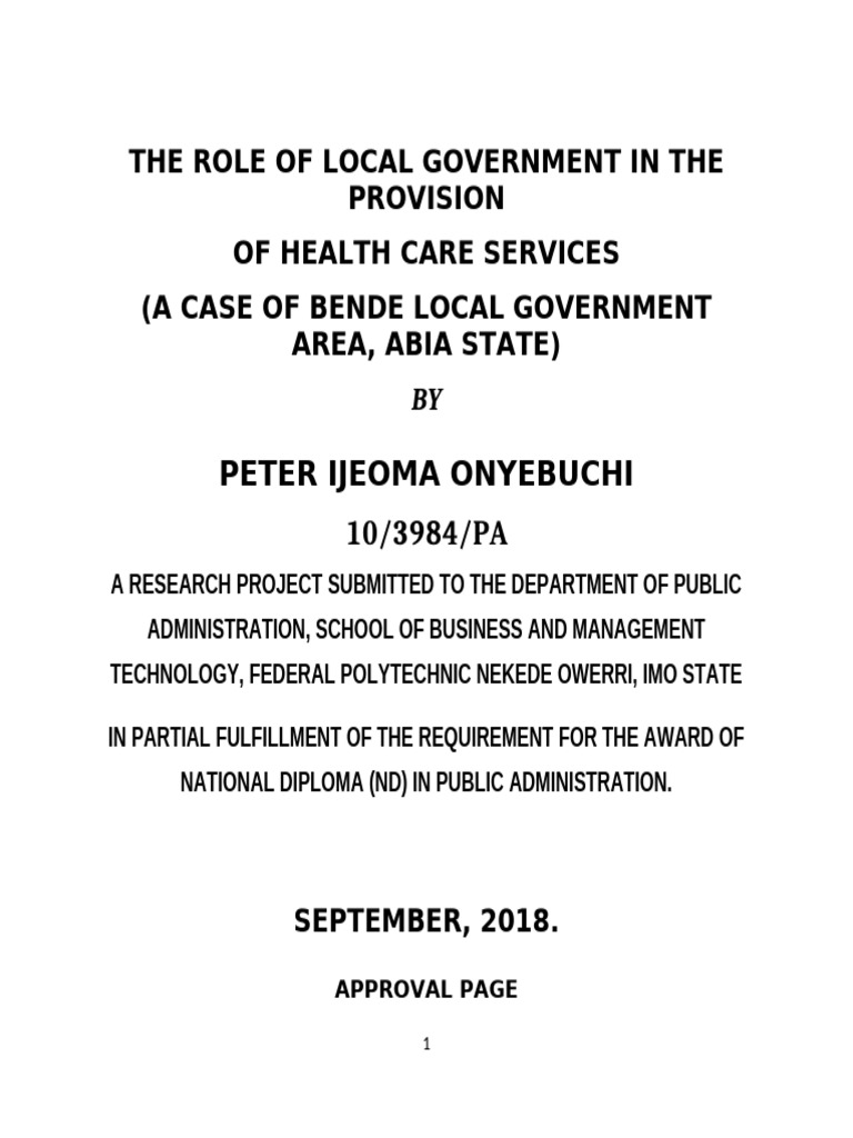 The Role of Local Government in The Provision of Health Care Services ...