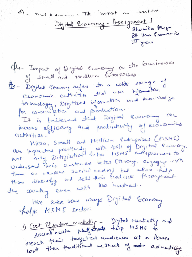 Digital Economy Assignment 1 | PDF