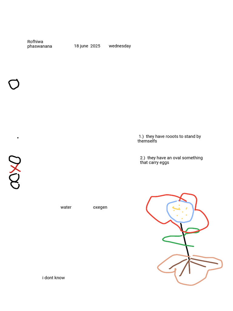Grade 5 Science Test Fillable | PDF