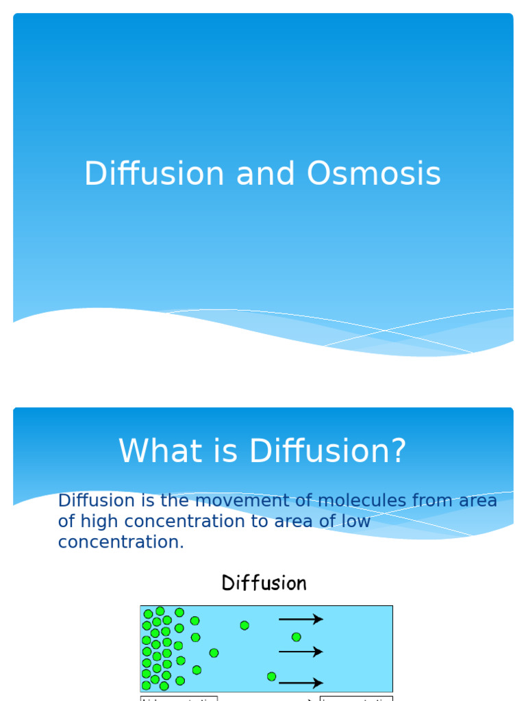 Diffusion and Osmosis | PDF | Osmosis | Diffusion