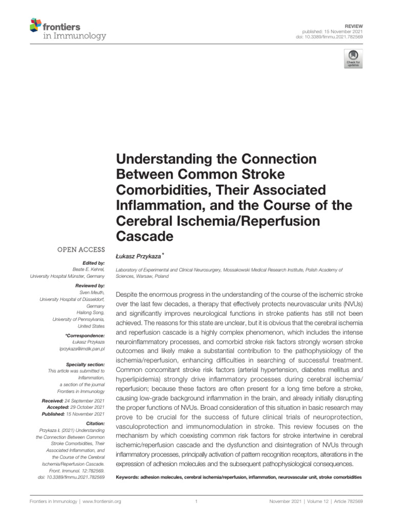 Understanding The Connection Between Common Stroke Comorbidities, Their ...