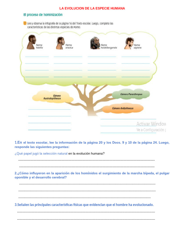 Influencia de la marcha bípeda en homínidos | PDF | Evolución ...