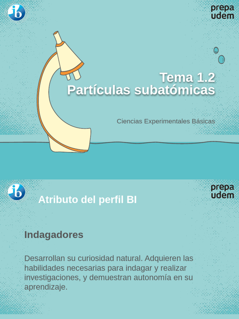 Partículas Subatómicas: Protón, Neutrón y Electrón | PDF | Átomos ...