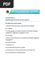 Reproduction in Plants - Revision Questions | PDF | Flowers | Reproduction