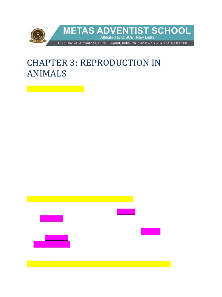 Animal Reproduction Overview | PDF | Reproductive System | Human ...