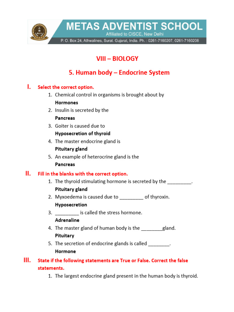5.endocrine System | PDF | Endocrine System | Pancreas