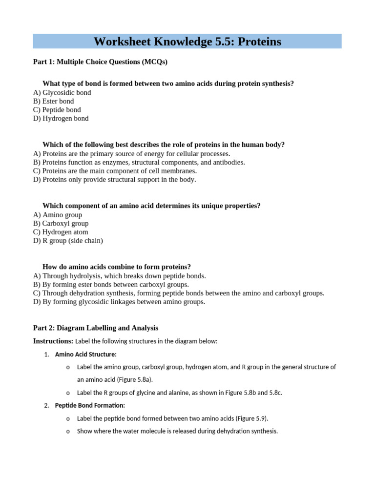 Worksheet Knowledge 5.5 | PDF | Proteins | Amino Acid