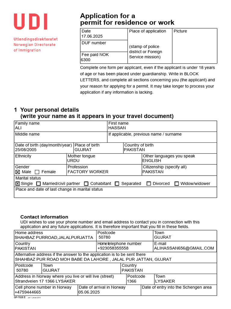 Ali Hassan | PDF | Family | Social Institutions