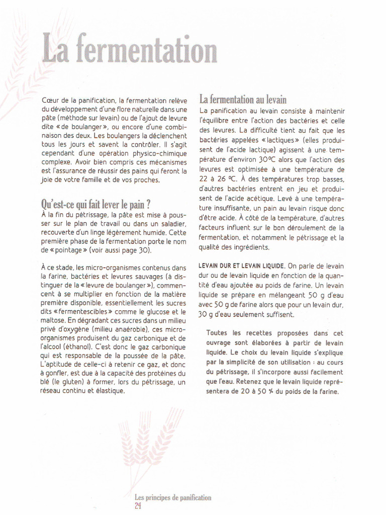 Panification Fermentation Kayser | PDF