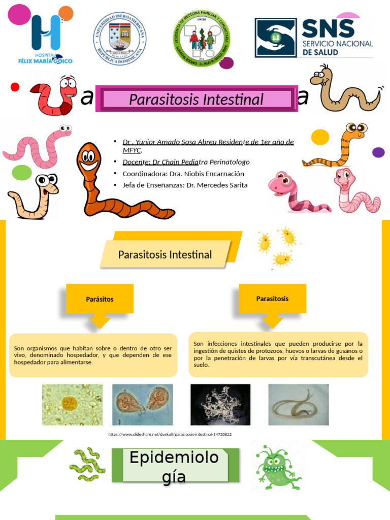 Parasitosis Intestinal Diapositivas | PDF | Diarrea | Enfermedades y ...