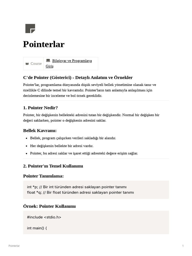 Pointer Lar | PDF