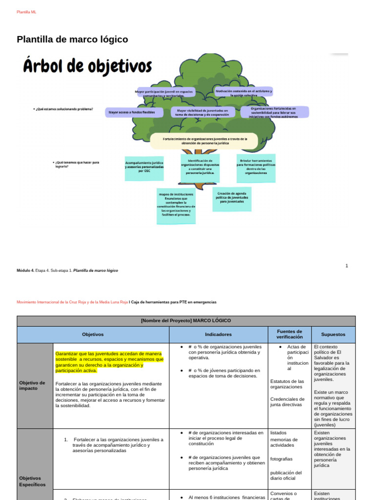 Plantilla Marco Lógico Simplificada | PDF