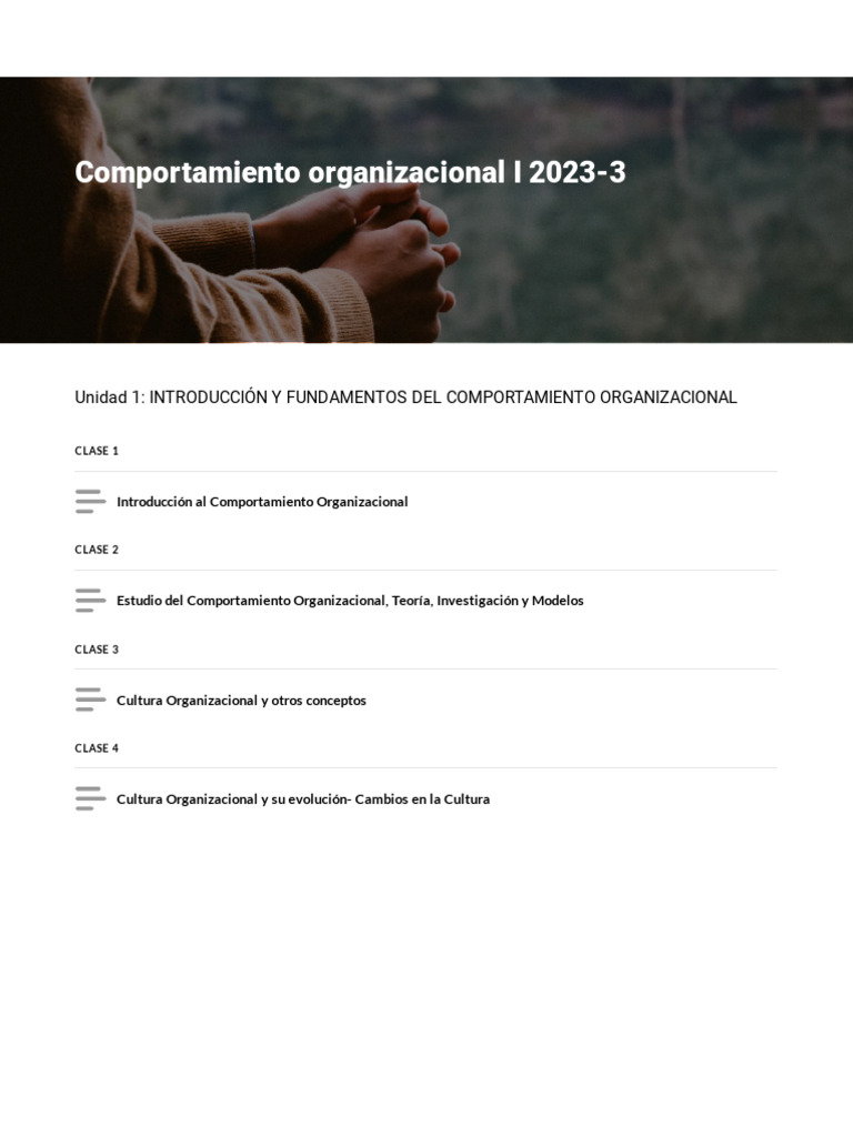 Comportamiento Organizacional I 2023 3 Z8jGCgv1 | PDF | Comportamiento ...