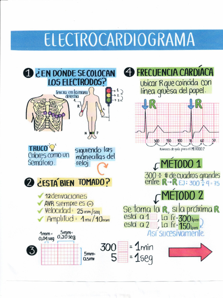 Guia para Toma de Electrocardiograma | PDF