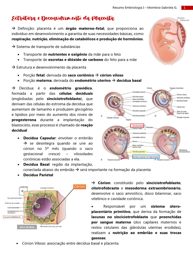 Estrutura e Desenvolvimento da Placenta | PDF | Placenta | Anatomia