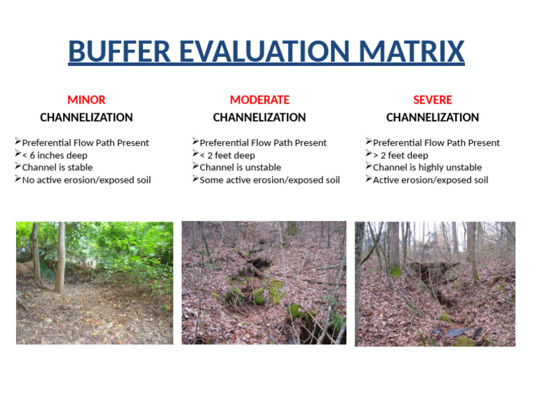 Buffer Evaluation Matrix | PDF