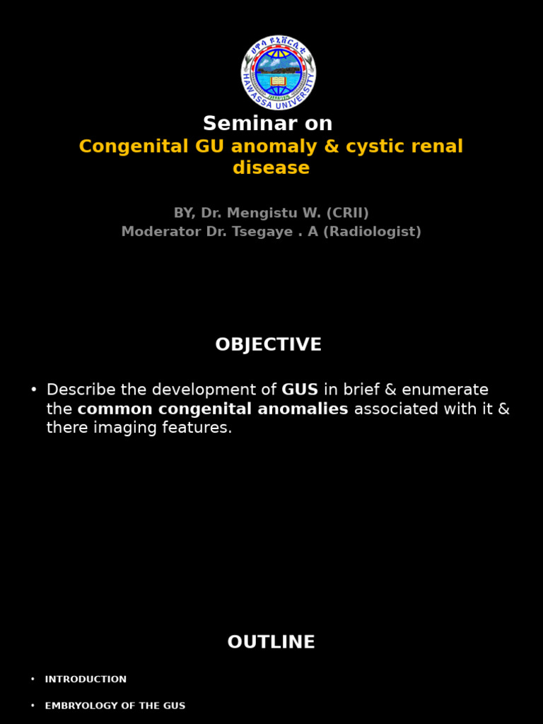 Radiologist Presentation On CGU & Renal Pathologies Imaging | PDF ...