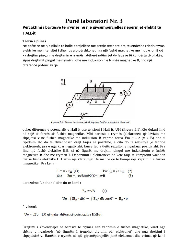 Punë Laboratori Nr3 | PDF