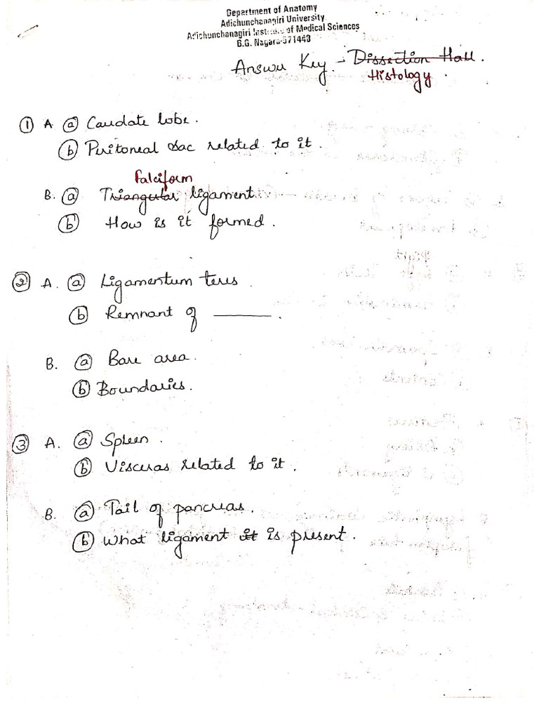 Answer Key - Histology Lab | PDF