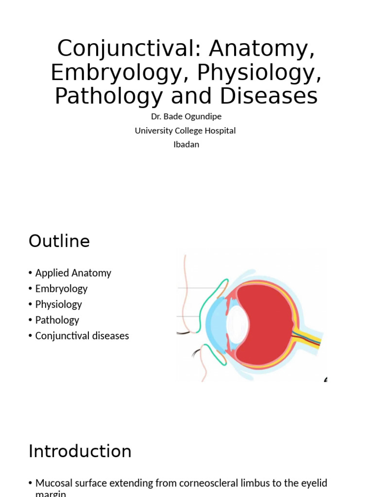 Basic Conjunctival and Diseases | PDF | Inflammation | Epithelium