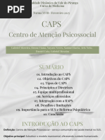 Tipos de Caps | PDF | Enfermagem | Psiquiatria