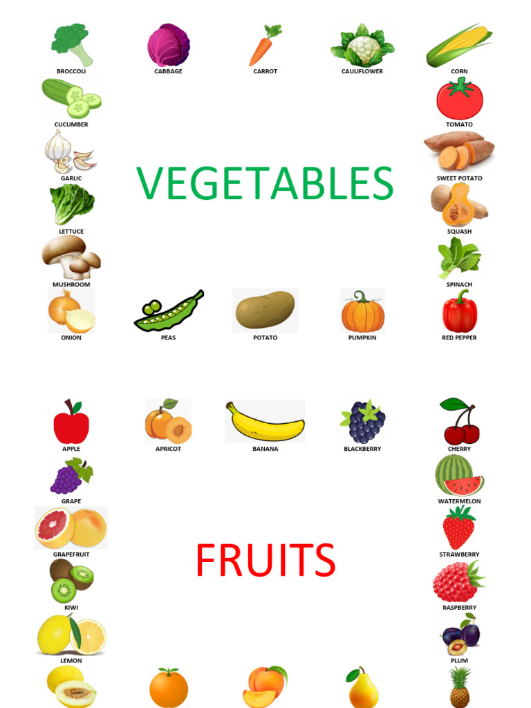 Food Vocabulary Picture Dictionary | PDF