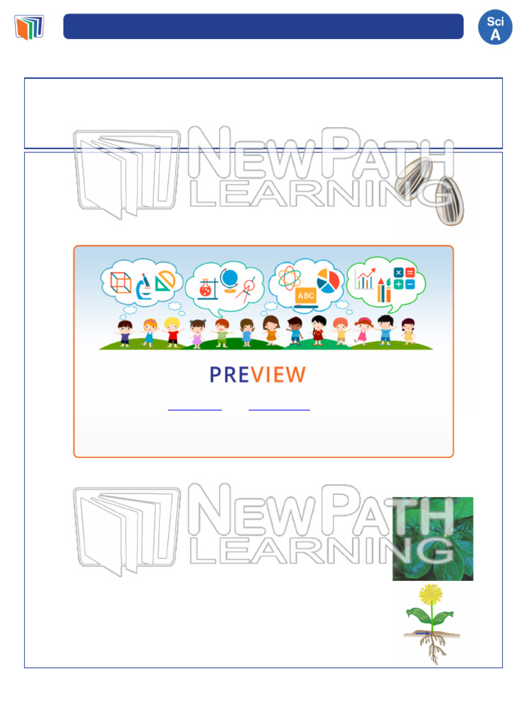 Vocabulary Science Grade 1 All About Plants 1 | PDF | Seed | Plants