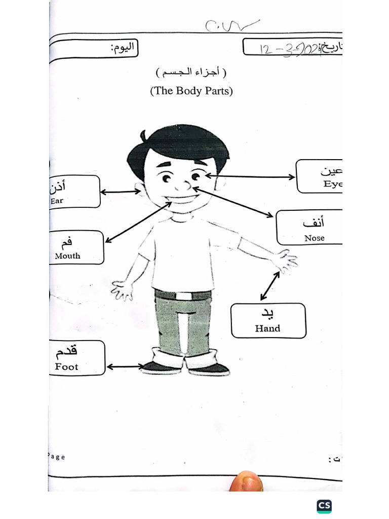 g1 Arabic Body Parts | PDF