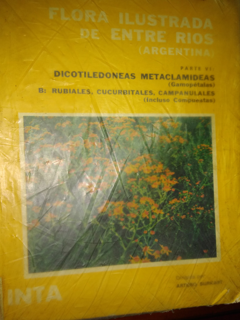 Asteraceae - Flora de Entre Rios | PDF