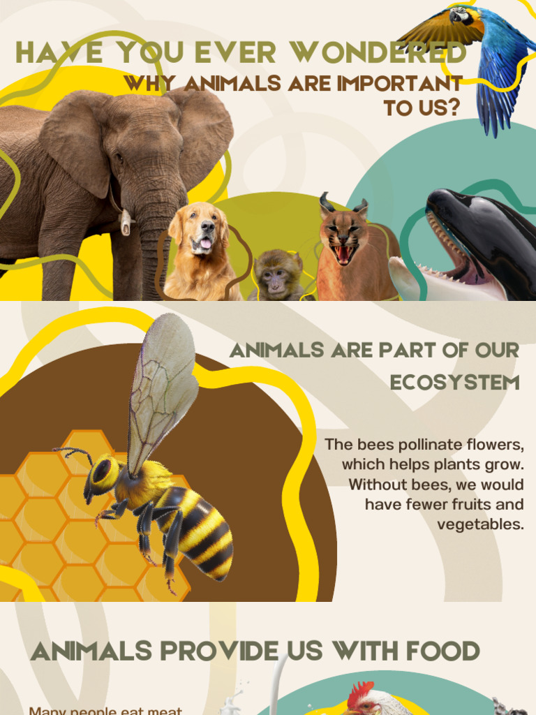 Importance of Animals in Our Lives | PDF