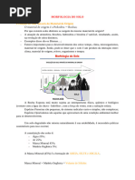 Características dos Vertissolos no Brasil | PDF | Solo | Irrigação