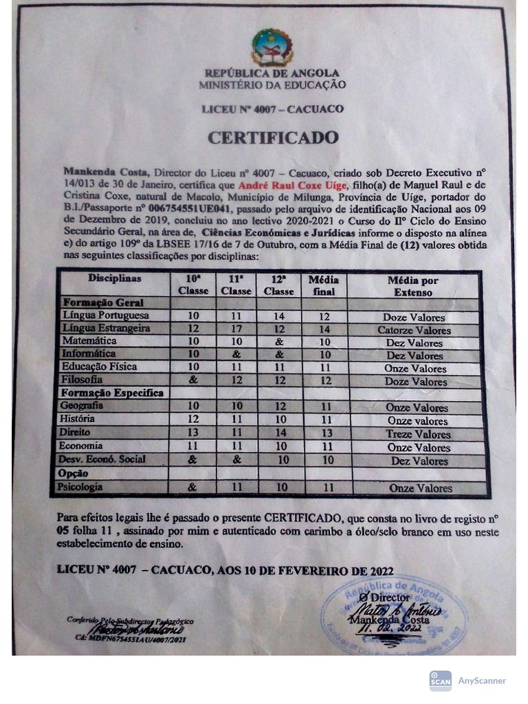 Certificado - André | PDF