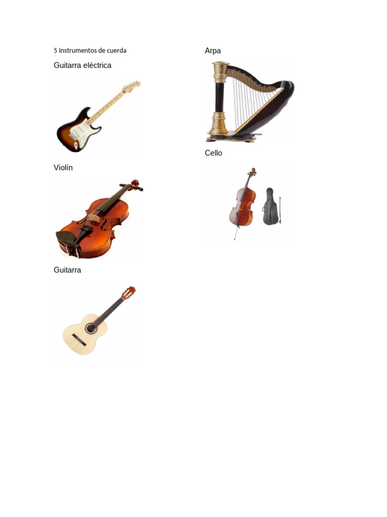 5 Instrumentos de Cuerda | PDF