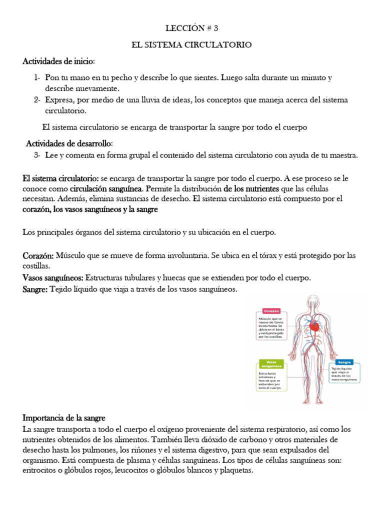 Lección # 3 El Sistema Circulatorio | PDF | Sistema circulatorio | Sangre